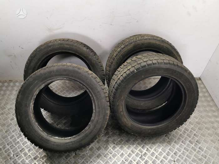 Maxxis Presa, žieminės 255/55 R18 | A24307282