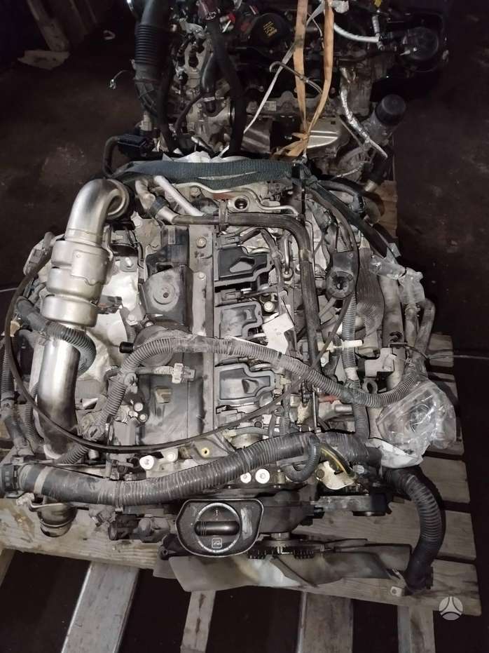 Nissan Navara Ys23 tik variklis jo priedai nutruksi grandine 2015-03 m ...