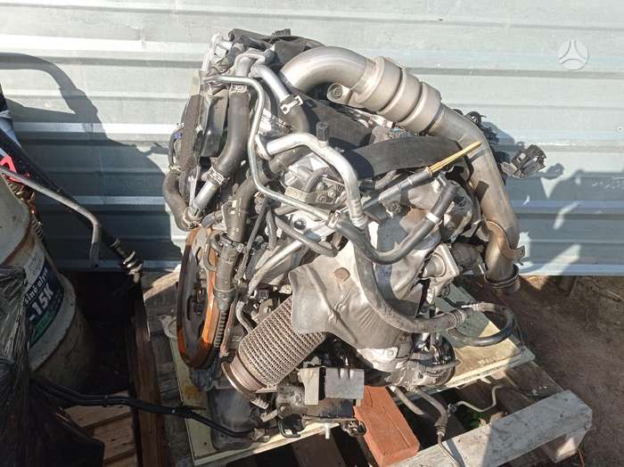 Nissan Navara, YS23E280, Nissan navara 2020m 2 3d 140kw variklis ...