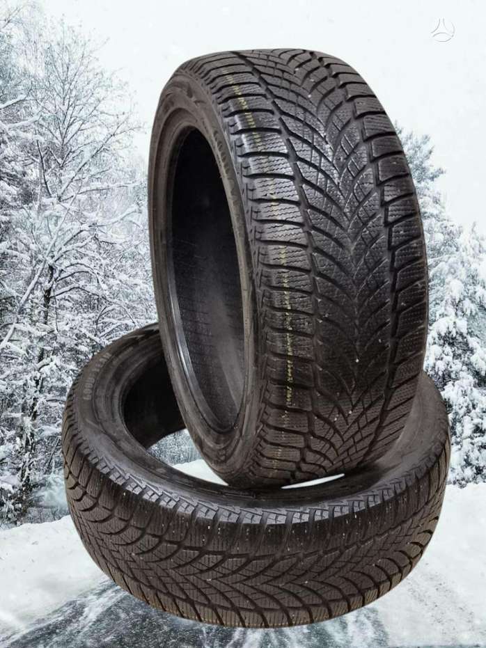 Goodyear, žieminės 225/50 R17 | A29631627