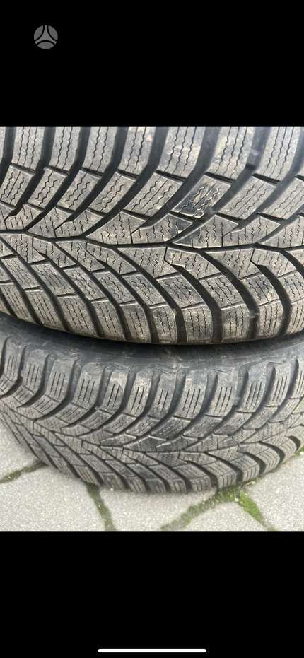 Continental Winter contackt, žieminės 205/55 R16 | A29832550