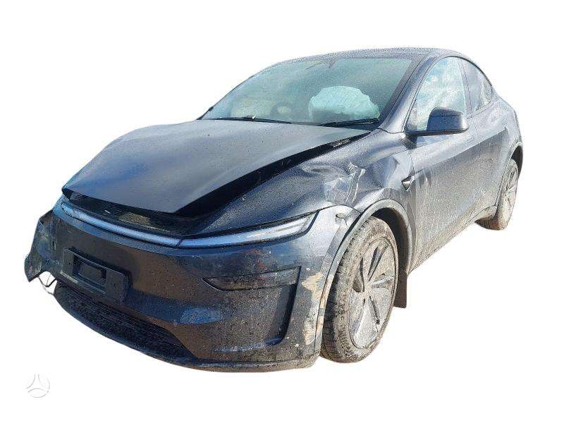 Tesla Model Y Automobilis 2025 tesla model y long range rwd variklio ...