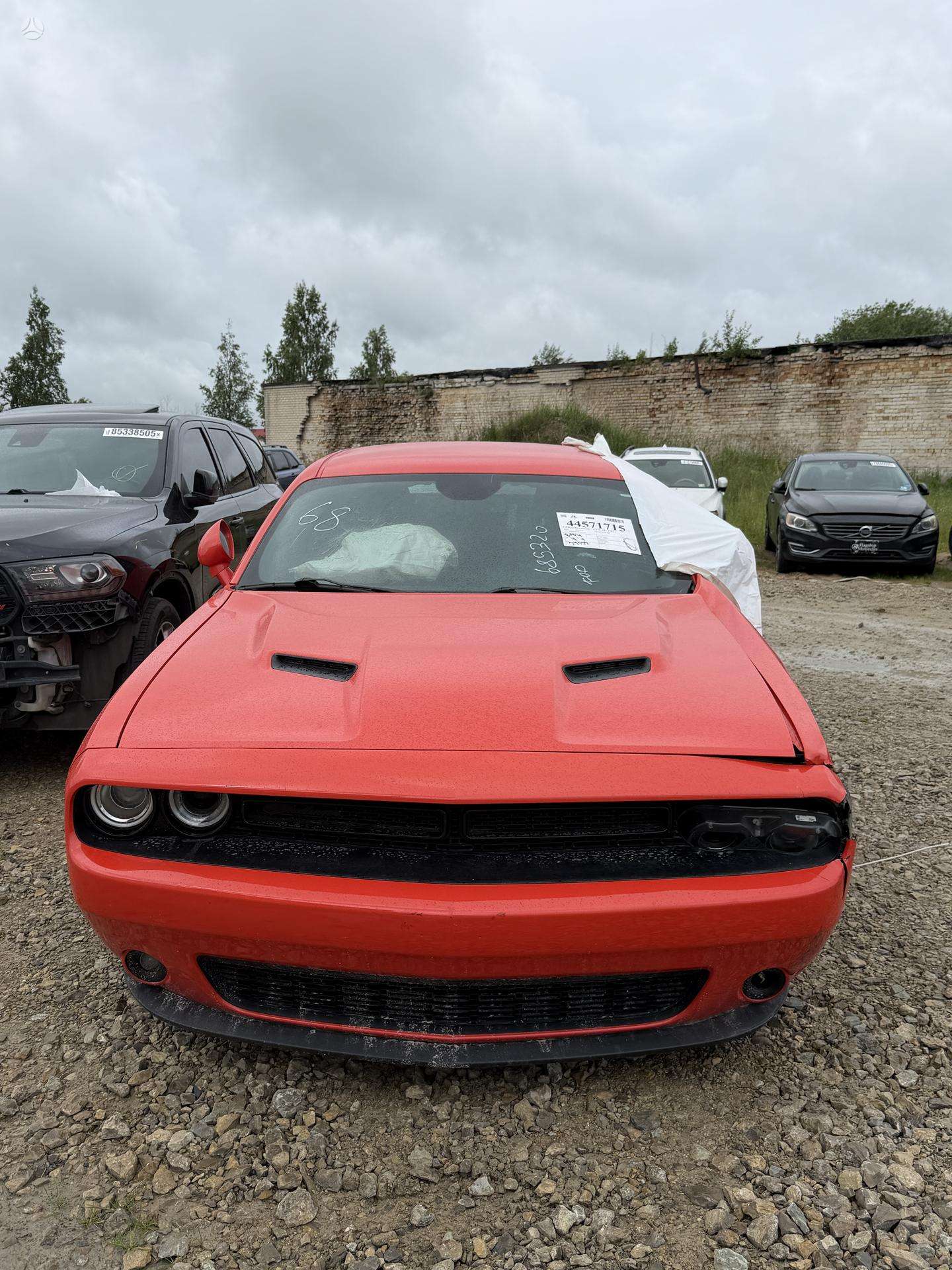 Dodge Challenger, 3.6 l., kupė (coupe) 2023 m., | A31198412