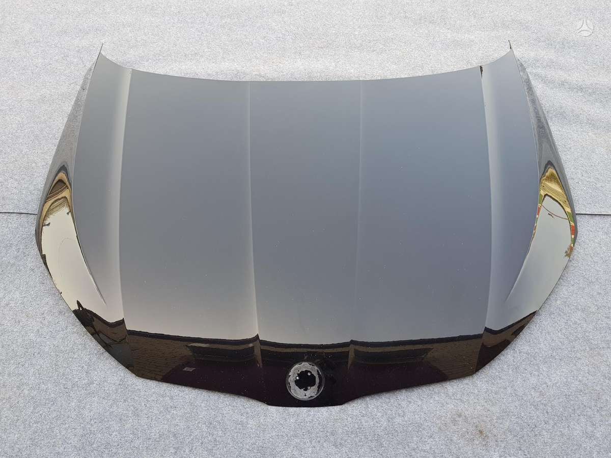 Skoda Octavia, 5E, Kapotas buferis 5e3807221 žibintas 5e4941015 ...