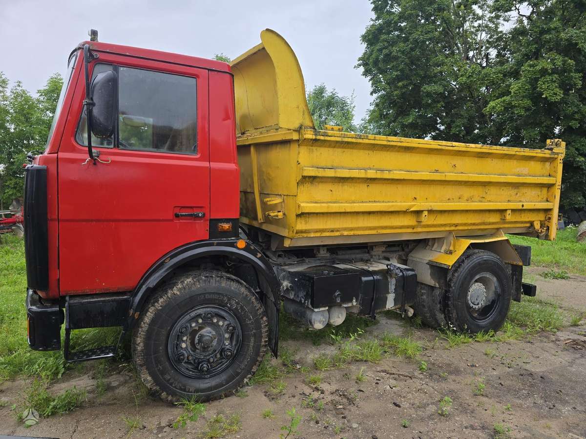 MAZ 5551, самосвалы 2000-07 m., | A28907071