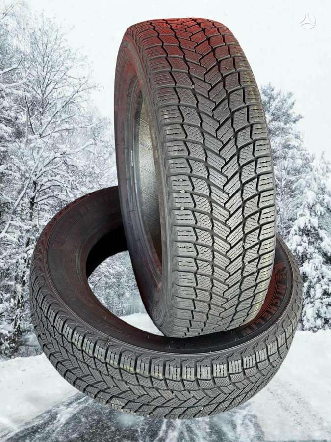 Michelin, žieminės 225/60 R17 | A29539135