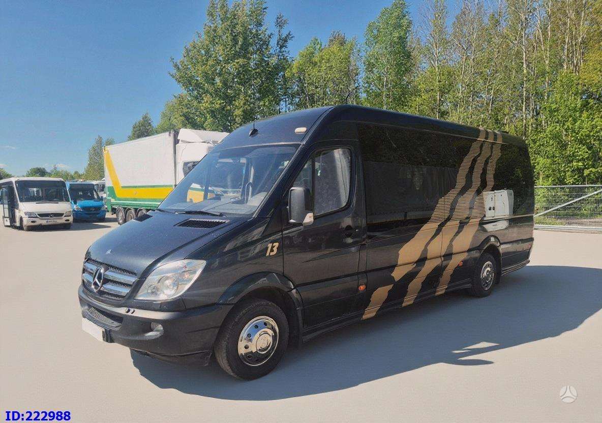 Mercedes-Benz Sprinter 519 VIP - 17 Seater, turistiniai 2010-01 m ...