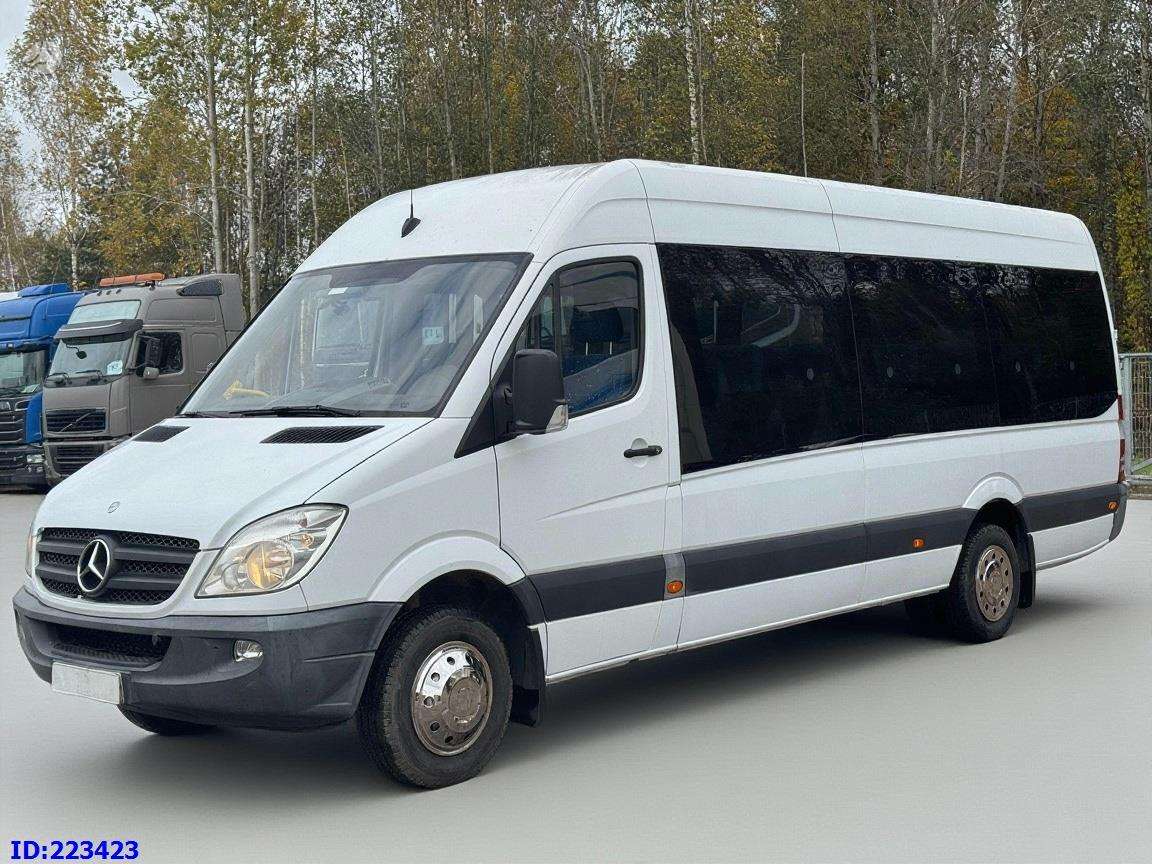 Mercedes-Benz Sprinter 516 Euro 5 Avestark, turistiniai 2011-10 m ...
