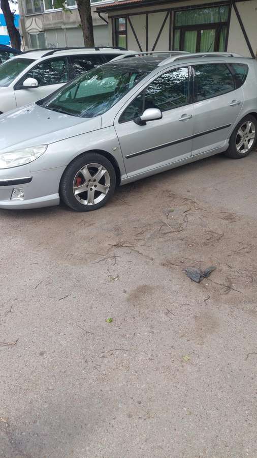 Peugeot 407, 2.0 l., hatchback 2005-06 m., | A31003478