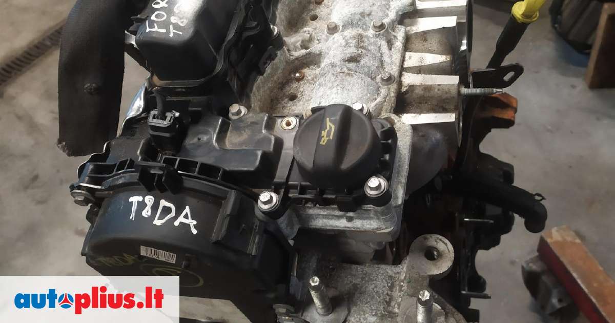 Ford Focus, T8DA 10CODY 2015-05 m., | A15378241