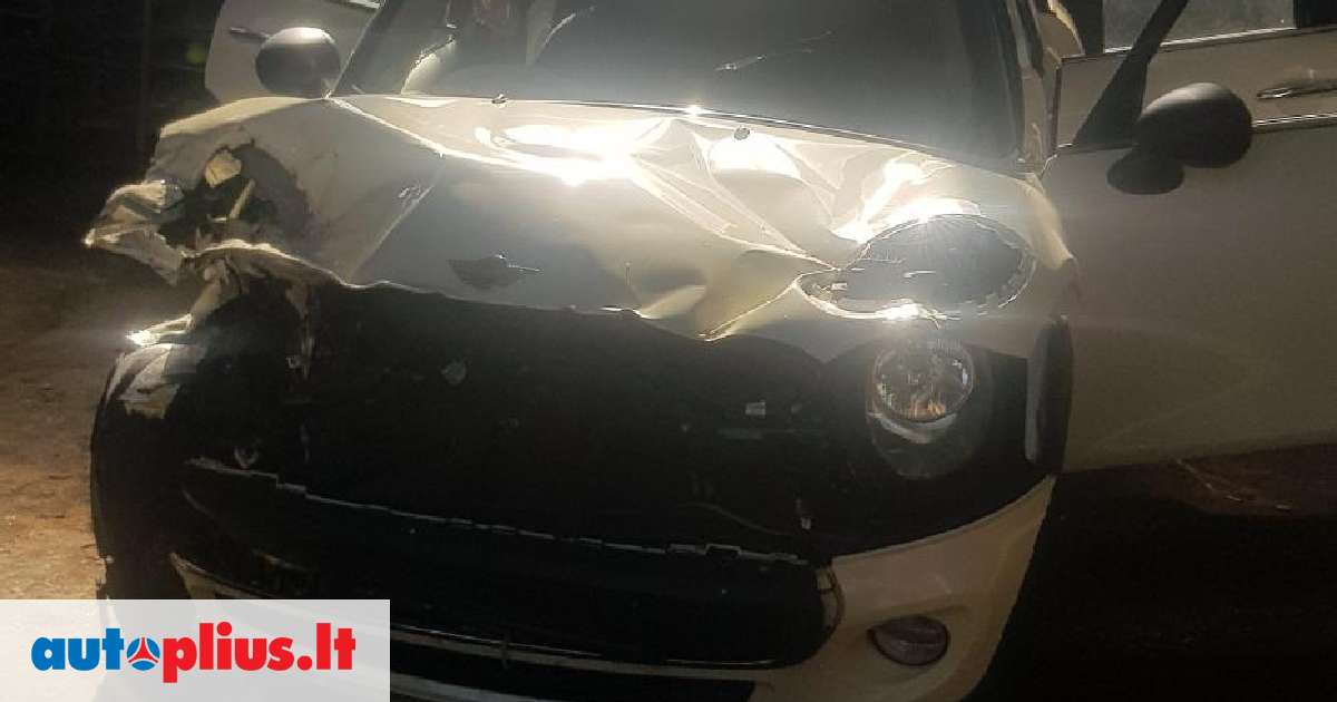 Mini One Skambinkite 9 17 30 darbo dienomos pietus 12 00 12 30 facebook ...