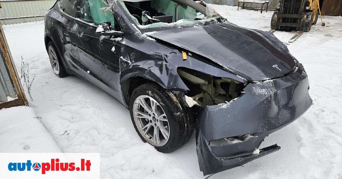 Tesla Model Y Rida 6915ml dual motor 2023 m., | A24934723