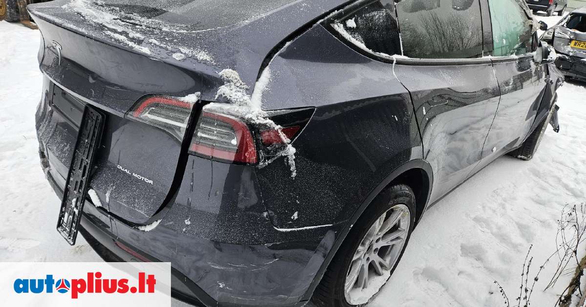 Tesla Model Y Rida 6915ml dual motor 2023 m., | A24934723