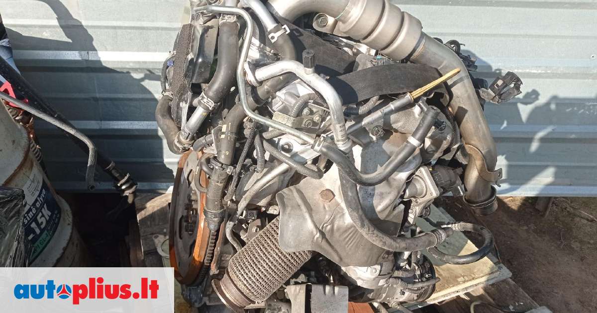 Nissan Navara, YS23E280, Nissan navara 2020m 2 3d 140kw variklis ...