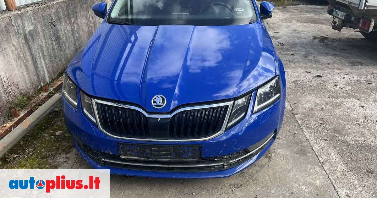 Skoda Octavia Europa maza rida 2019-11 m., | A26520668
