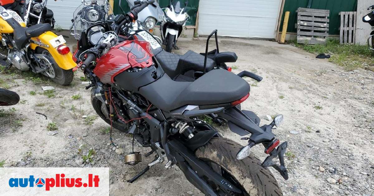 Triumph Tiger, touring / sport touring / kelioniniai 2022 m., | A26585711