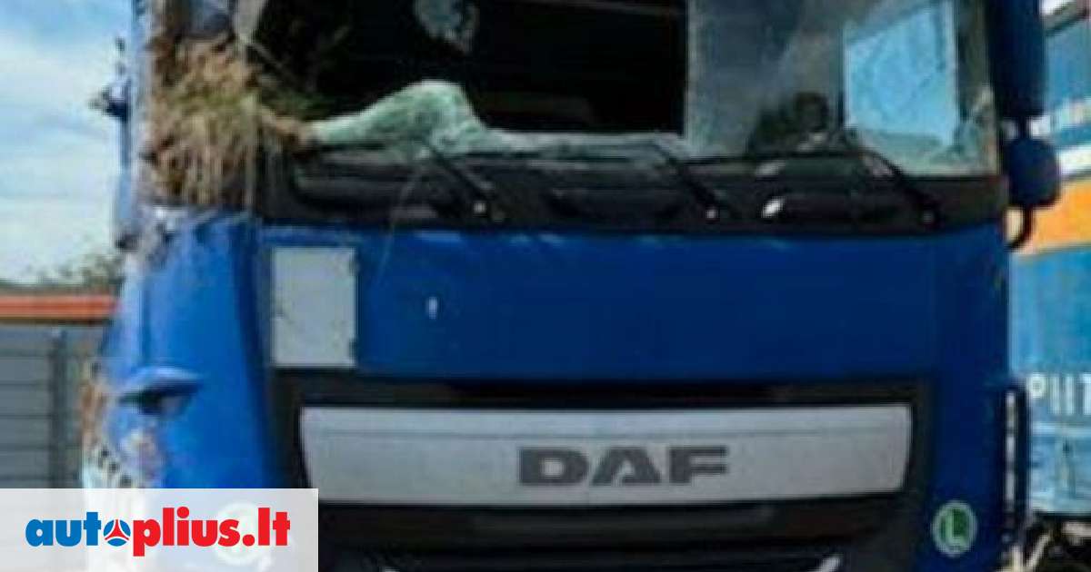 DAF XE460, vilkikai 2015 m., | A26873375