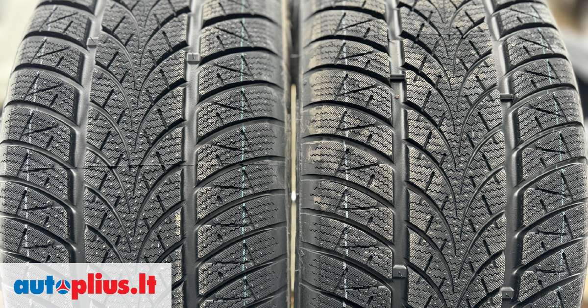 Triangle Winter X TW401, ziemas 225/50 R17 | A27053319