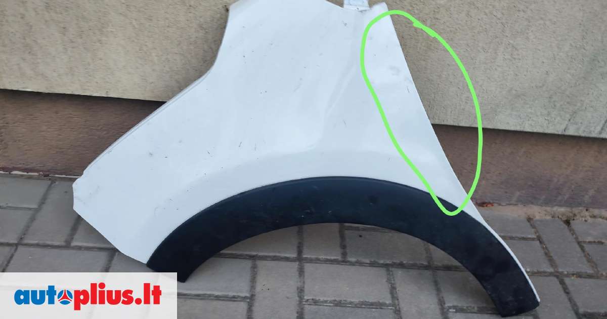 Citroen C3, 9812869080 9812868980 9813687477, sparnai 2021-01 m ...