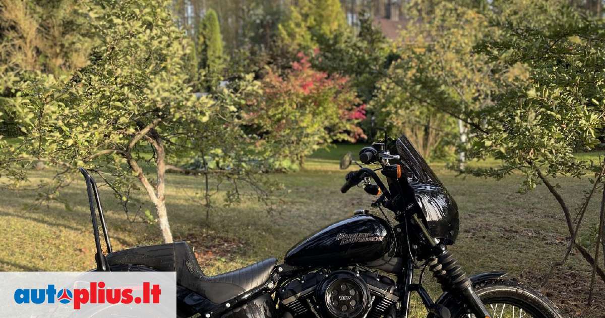 Harley-Davidson Street Bob FXBB, choppers 2019 m., | A27373209