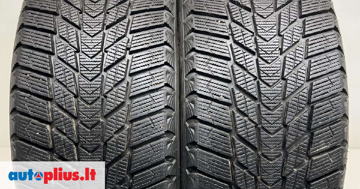 Roadstone WinGuard Ice Plus 2021m, winter 225/45 R18 | A27584453