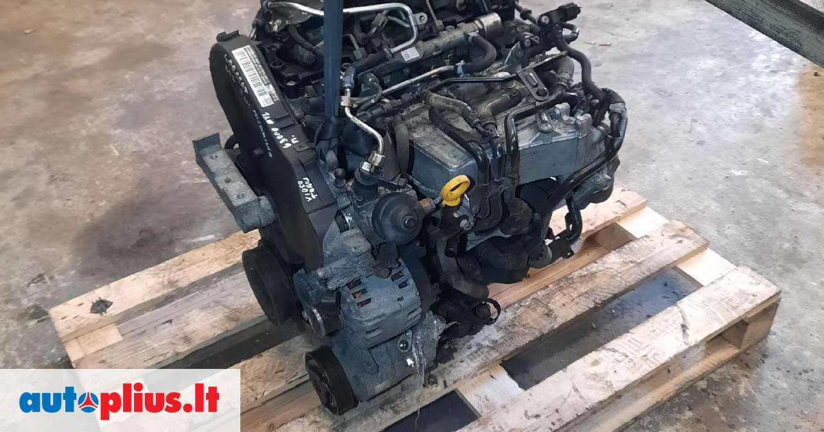 Volkswagen Passat, VARIKLIO KODAS ( DCX ), 1 6 tdi 88 kw dcx 6 pav ...