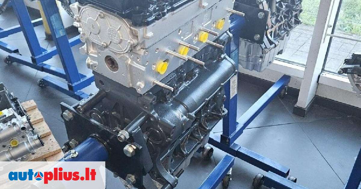 Volkswagen Transporter, CFC CXE CXH CXF CAA, engine 2016-01 m., | A27613707