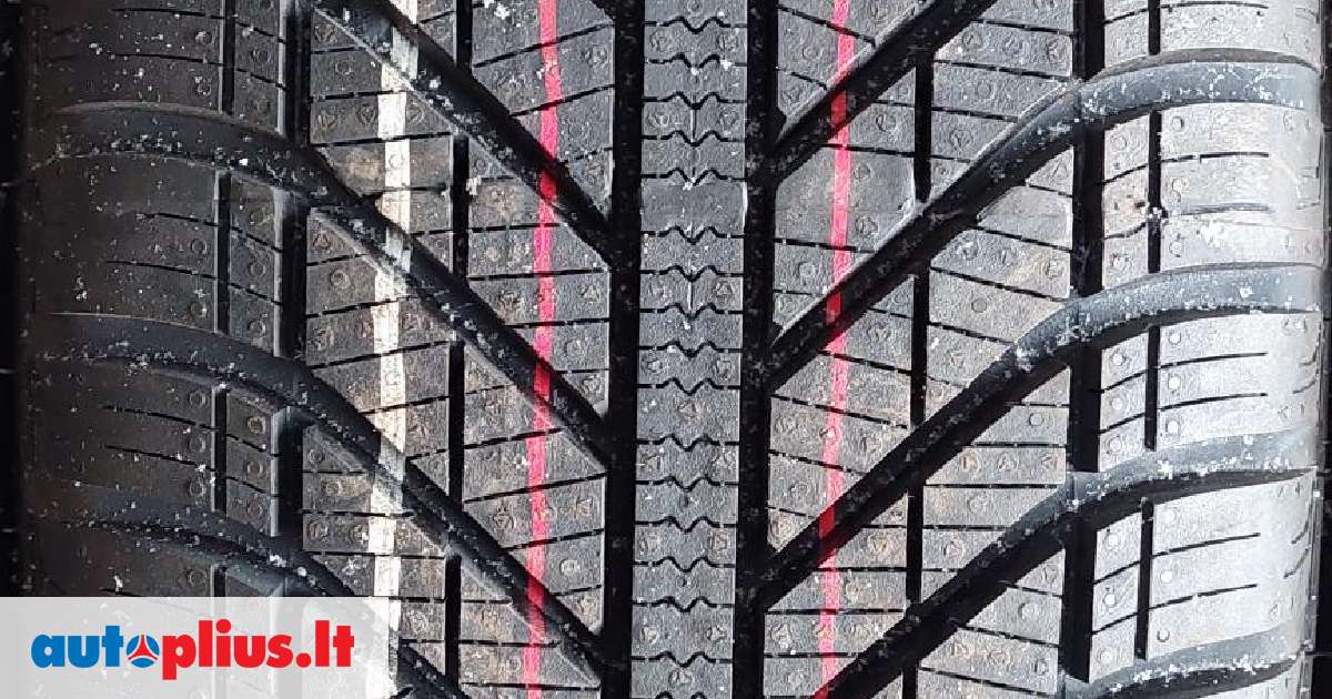 Goodyear, all-season 205/55 R16 | A27641063