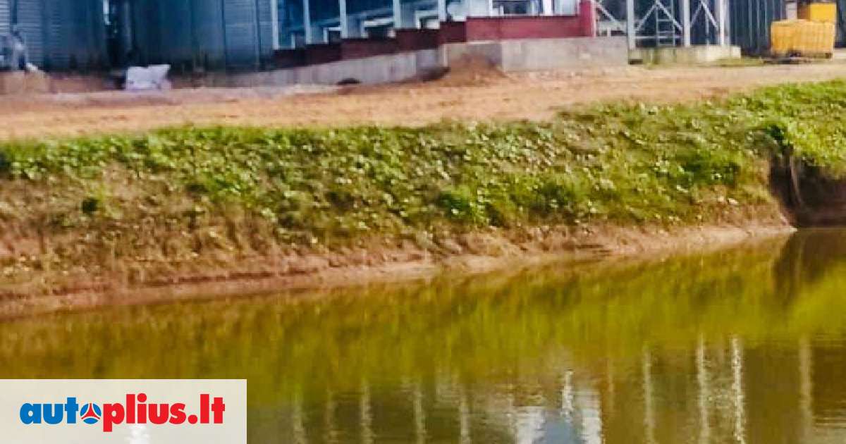 Poleks Dry PP2207 - PP101013, для переработки зерна 2025 m., | A27688818