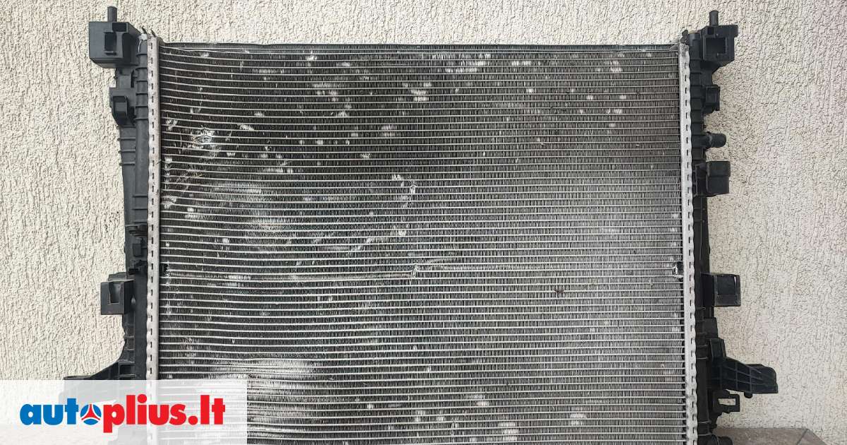 Renault Trafic, 214106338R, kėbulo dalys 2023 m., | A27544485