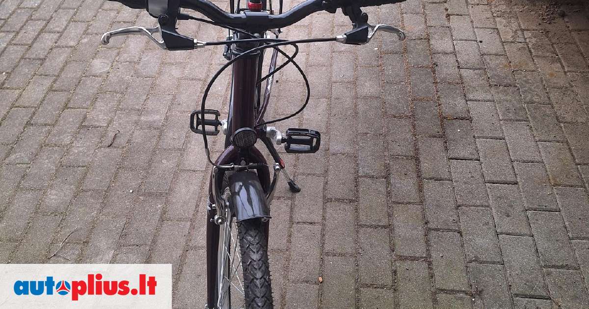 Miesto dviratis Terrible One 24″ | A27963623