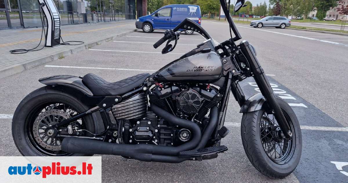 Harley-Davidson Softail 1600cc, choppers / cruisers / custom 2019-06 m ...