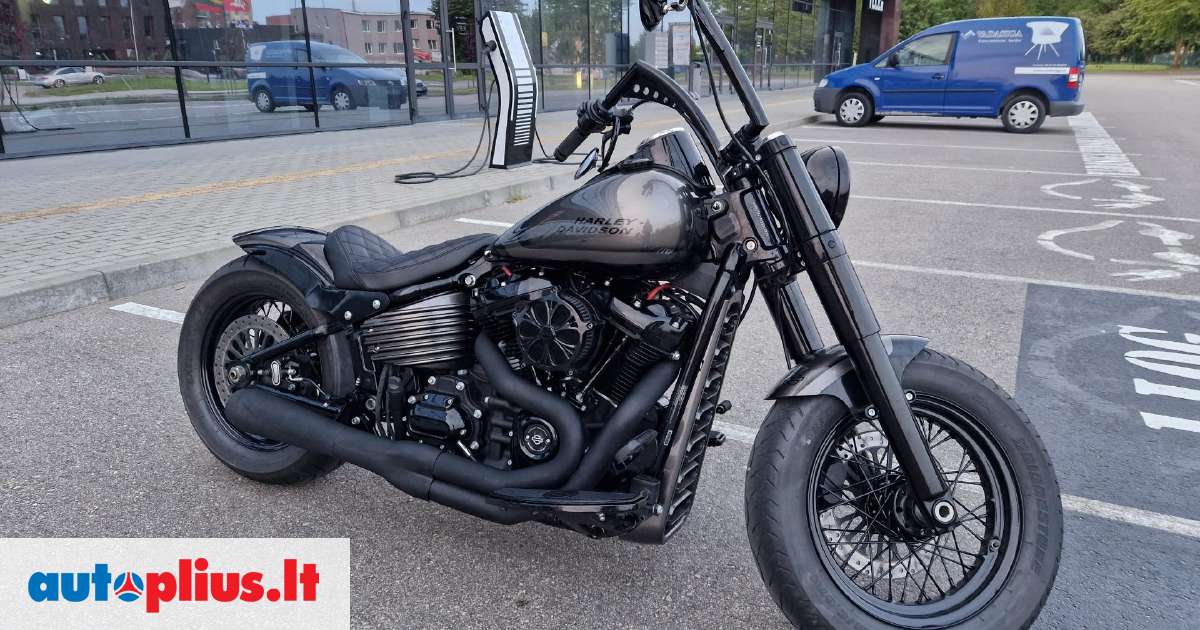Harley-Davidson Softail 1600cc, choppers / cruisers / custom 2019-06 m ...