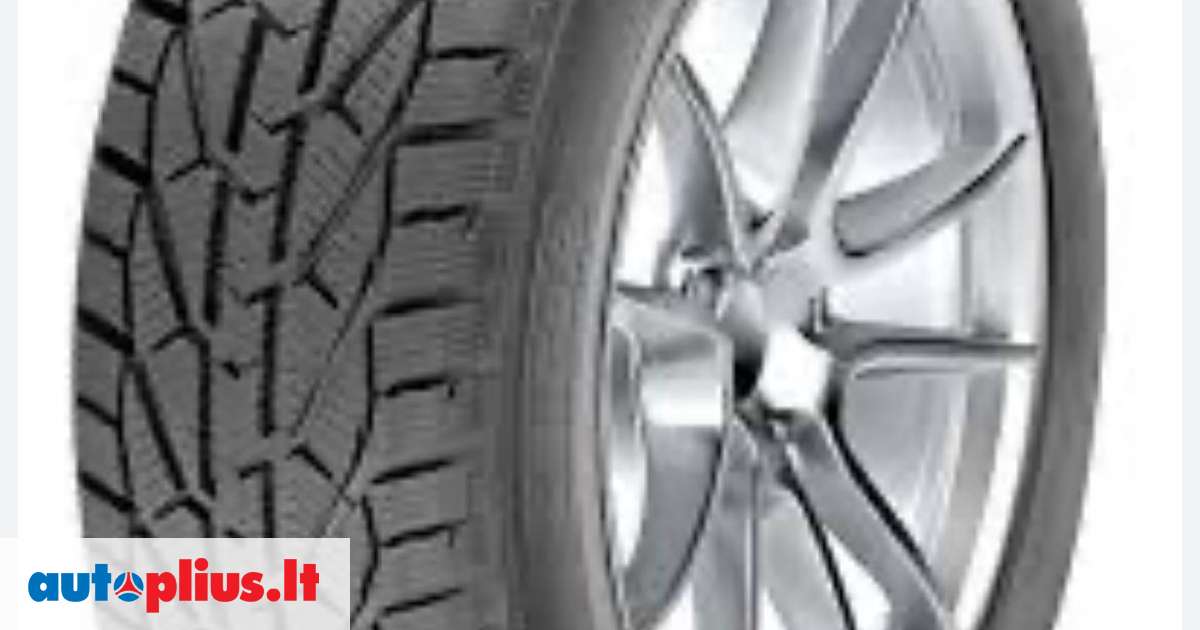 Tigar Winter 2025m., winter 225/40 R18 | A28528037