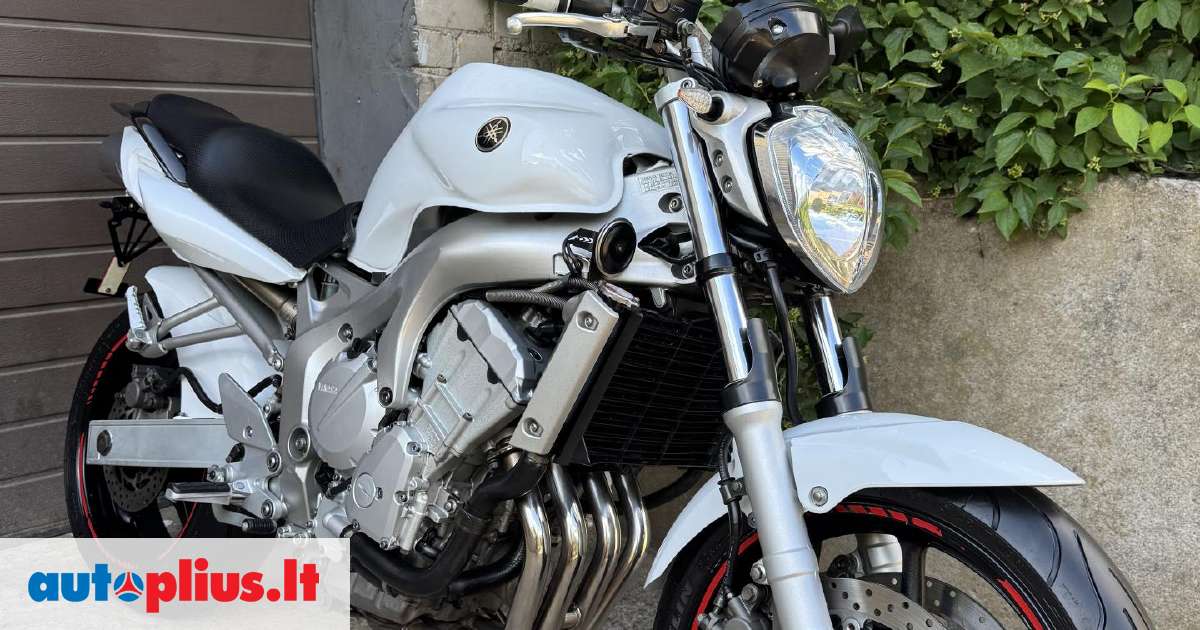 Yamaha FZ 600cc, street / klasikiniai 2004 m., | A28621211