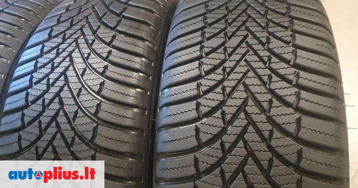 Firestone 2023m 95% Multiseason, all-season 195/55 R16 | A29145609