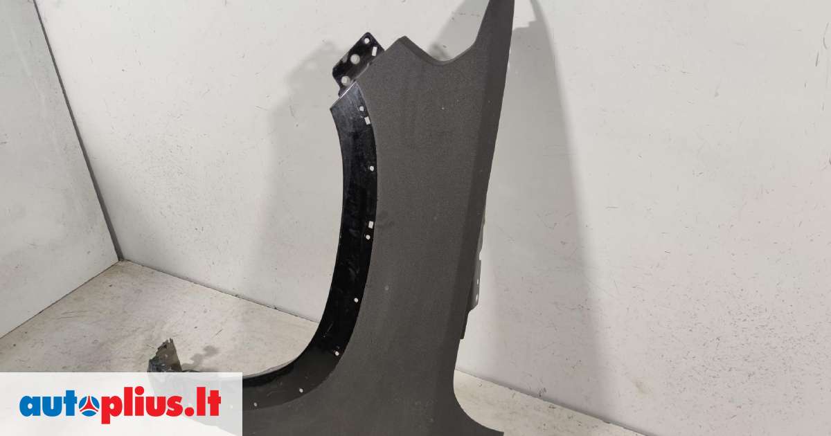 Dodge Ram sparnai 2019 m., | A29229062