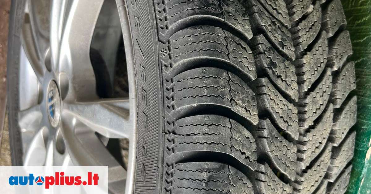 Debica Frigo, winter 205/55 R16 | A29386250