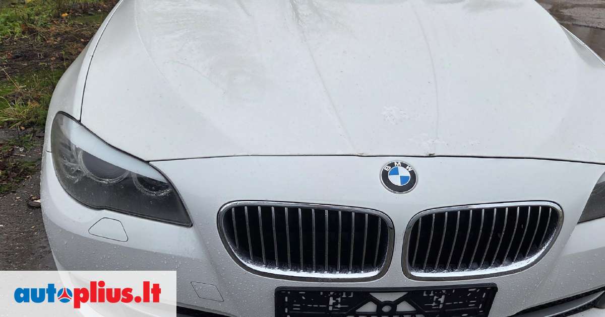 BMW 530 Europa alpine 300 spalva 2010-09 m., | A29452504