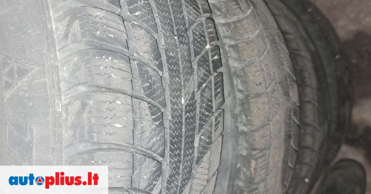 Triangle, universalios 195/65 R15 | A29523460