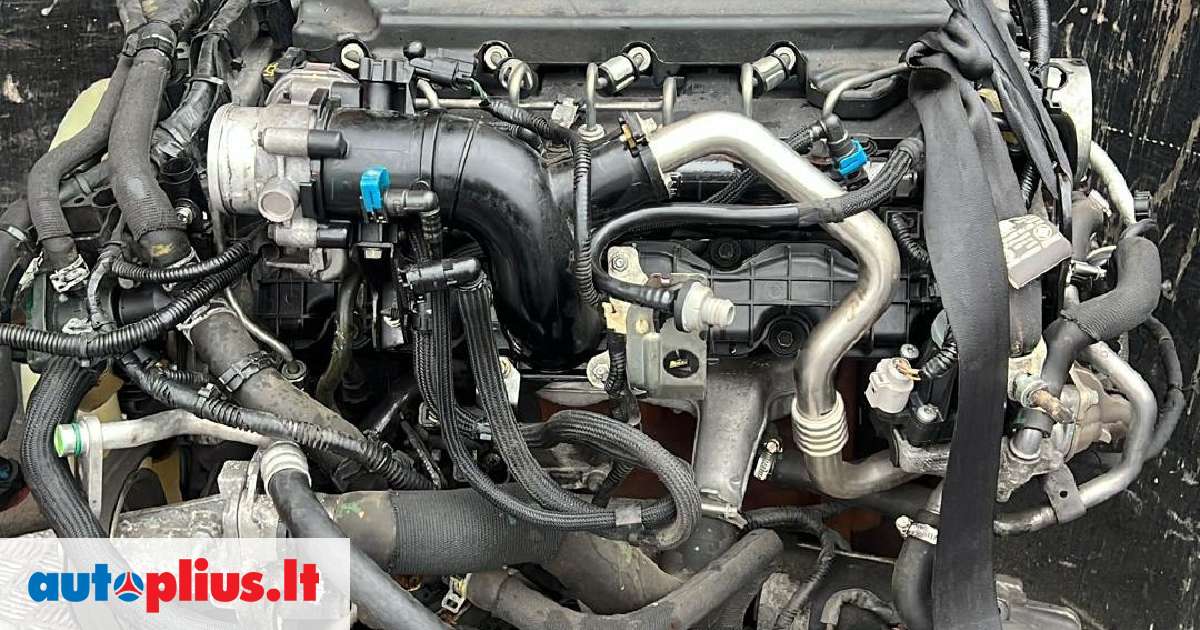 Ford Ranger, P5AT, engine 2018-05 m., | A29593933