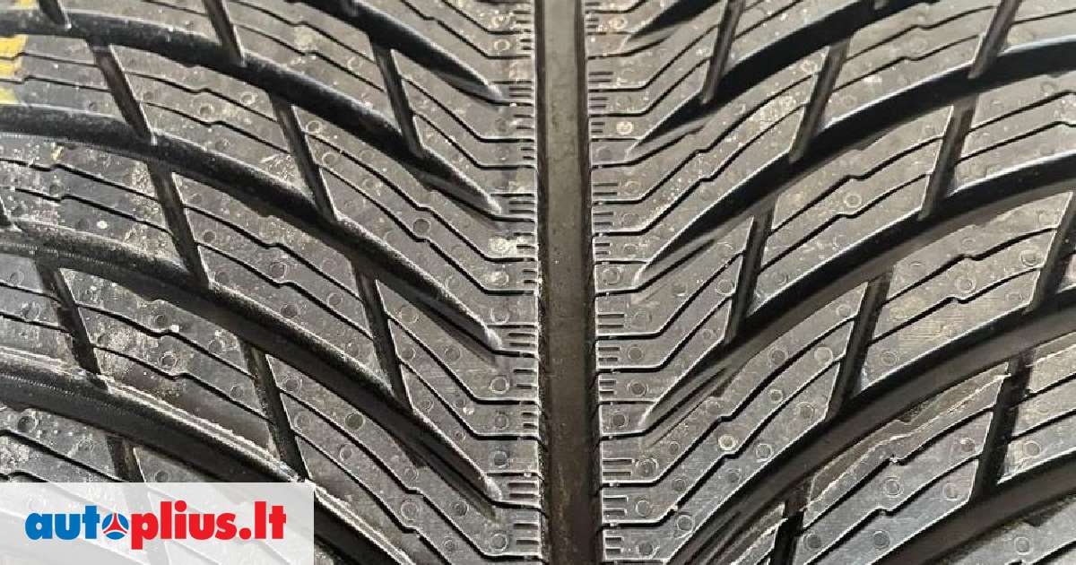 Michelin, žieminės 265/40 R22 | A29631581