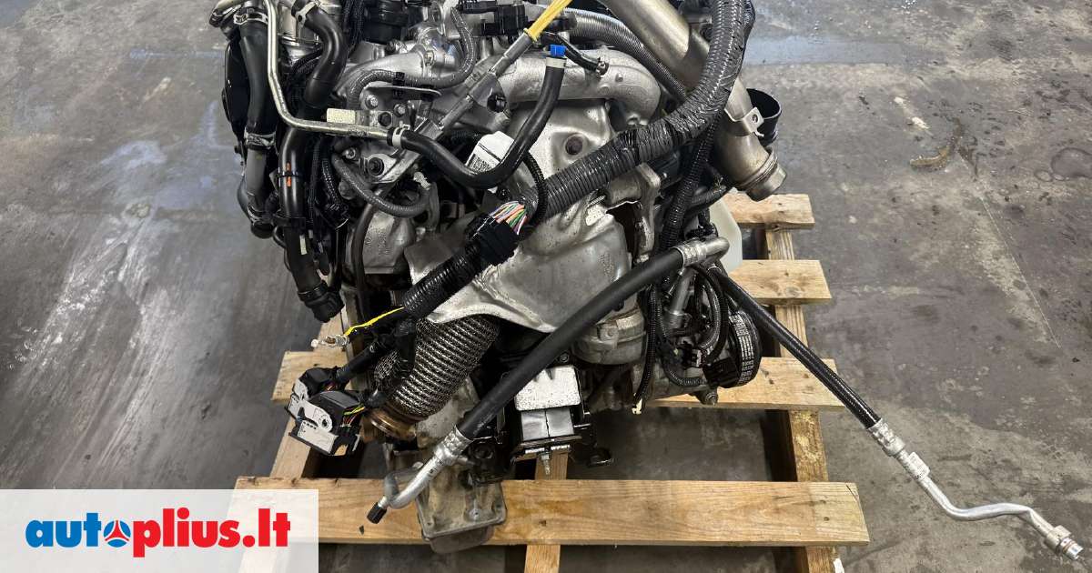 Nissan Navara, YS23E280, Nissan navara 2020m variklis rida 35615km 2020 ...