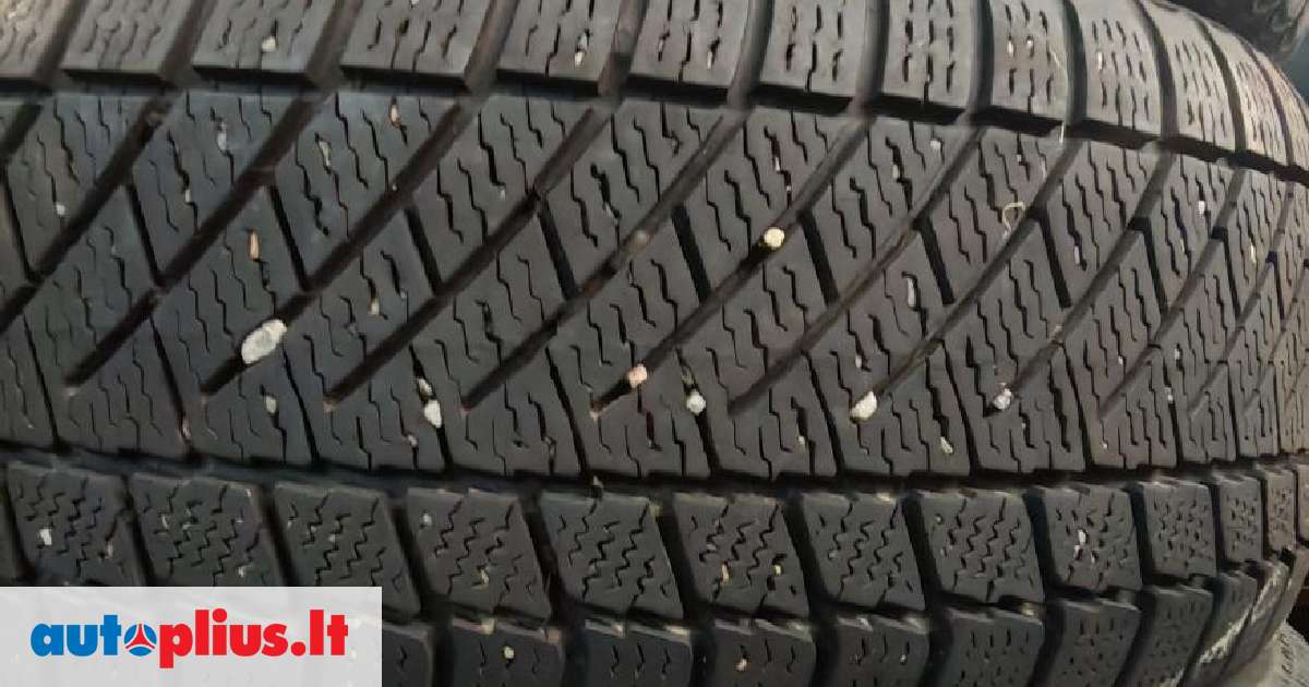 Continental, universalios 205/55 R16 | A29804683