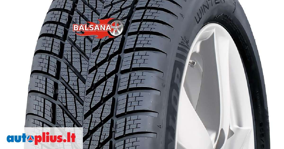 Dunlop Dunlop Winter Elect TL, žieminės 185/65 R15 | A29829902