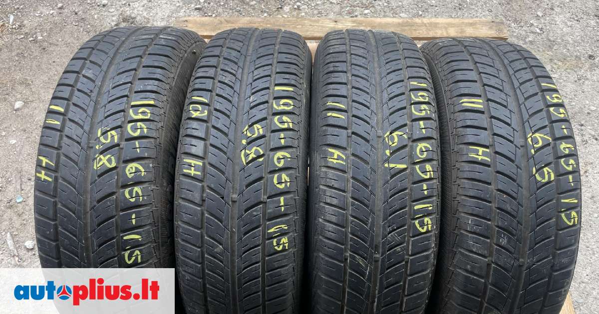 -Kita- Platin RP300 Diamant, vasarinės 195/65 R15 | A30982398