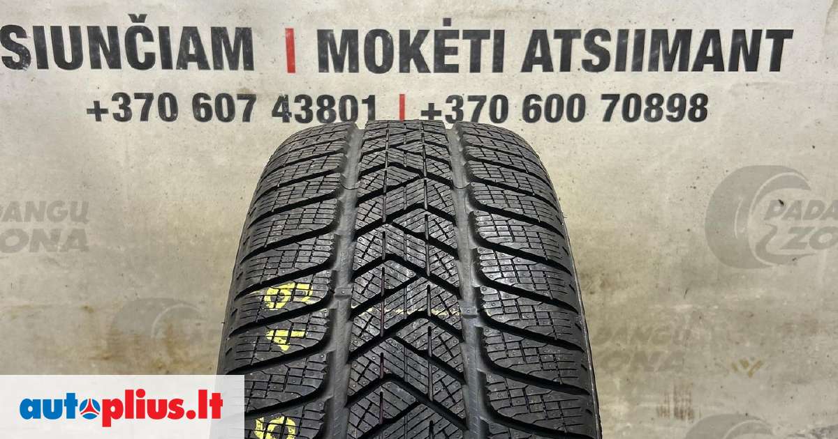 Pirelli Scorpion, universalios 235/55 R19 | A31036746