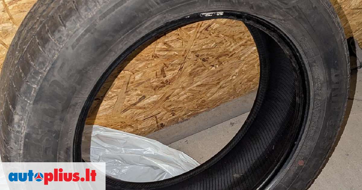 Bridgestone Alenza, summer 225/60 R18 | A31154102