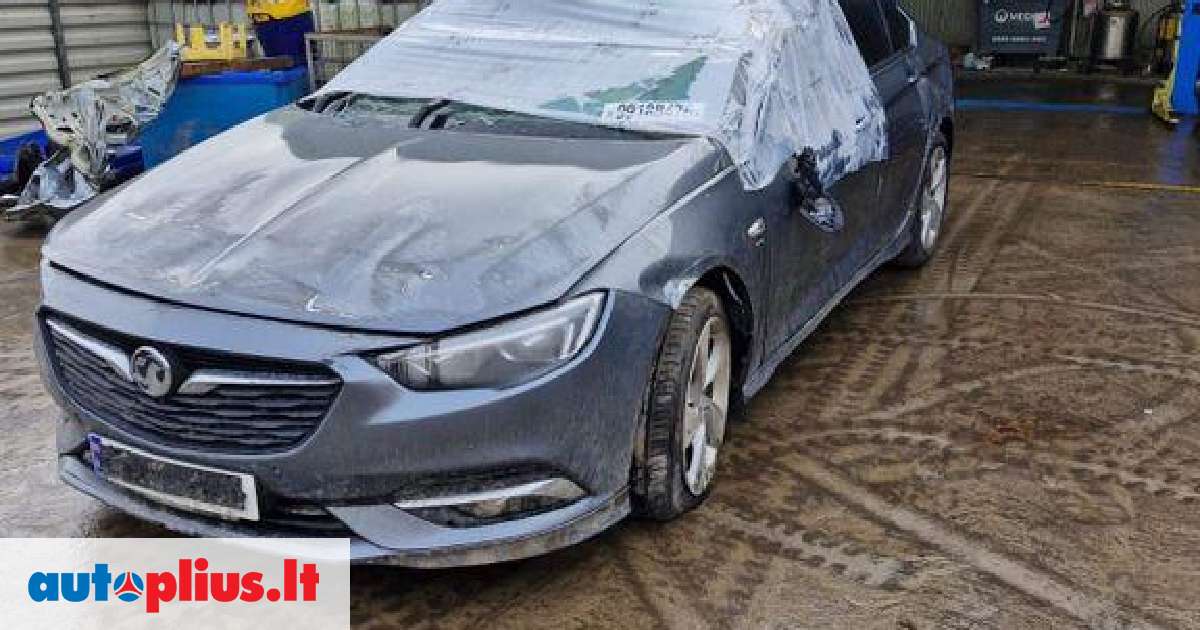 Opel Insignia 2019-06 m., | A31213090