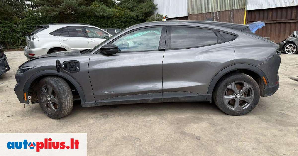 Ford Mustang Mach-E 2024-06 m., | A31213678